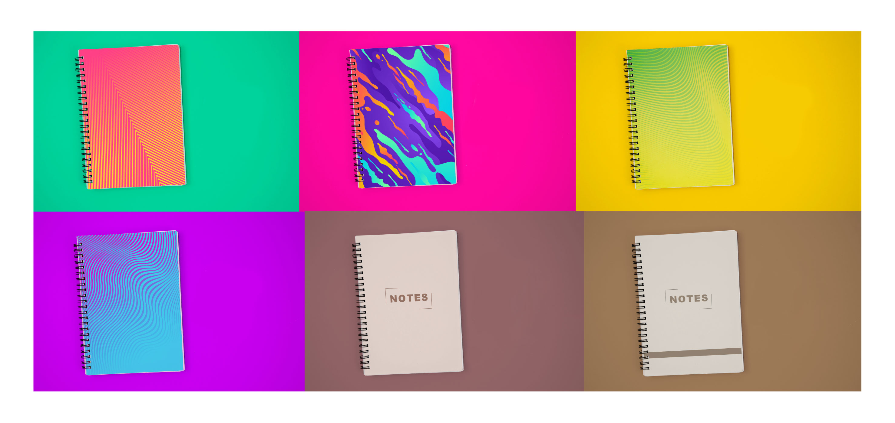 Diaries and Note Books